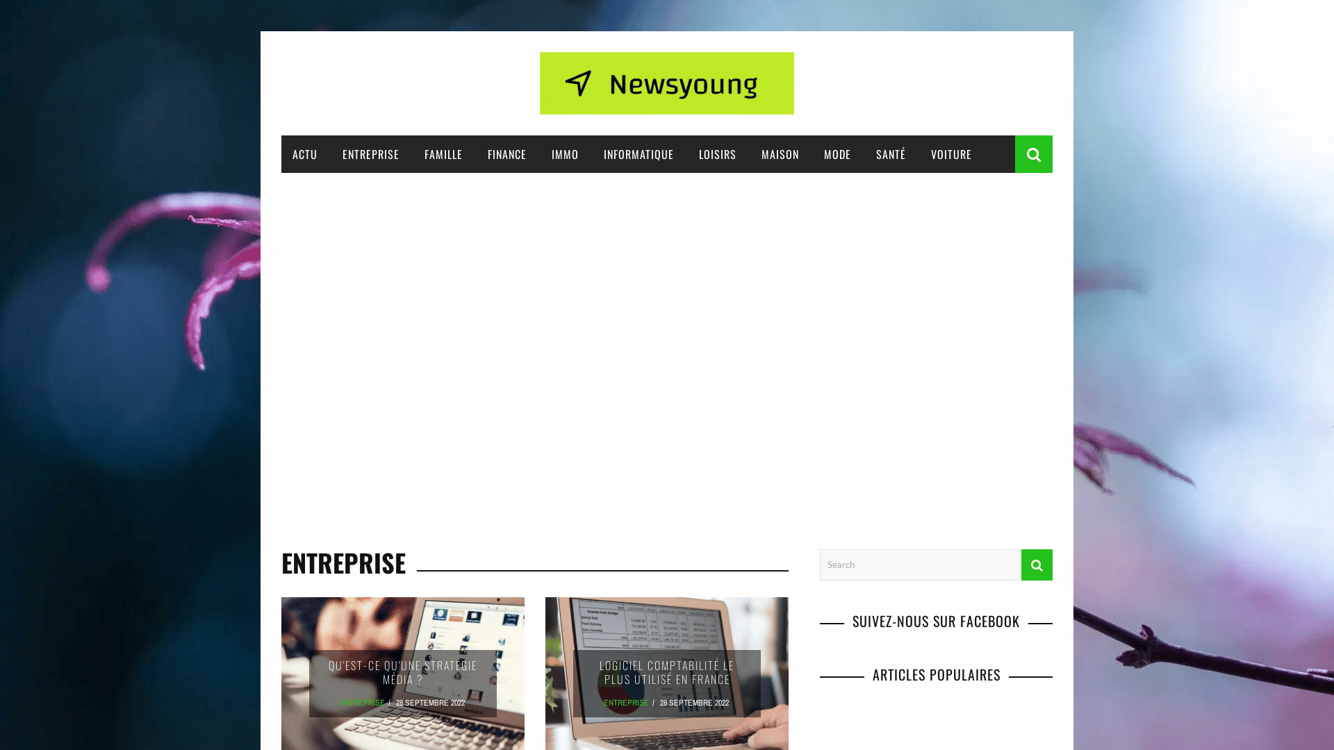 newsyoung.fr - Meca Web Net